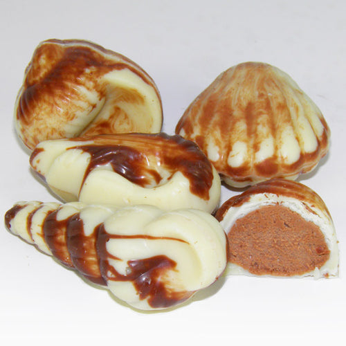 Luxurious Praline Sea Shells - Exquisite Belgian Treat | Hamiltons ...