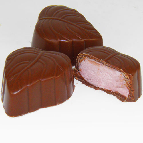Decadent Milk Chocolate Raspberry Cream | Hamiltons Chocolates UK